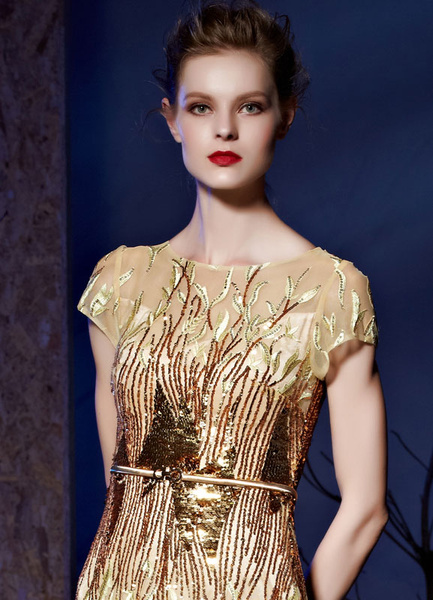 Sequin Evening Embroideries Mother Of The Bride Dress - TD Mercado