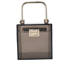 Online Solid Transparent Trendy Handbag - TD Mercado